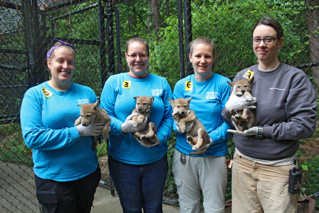Pupdate #9 | Animal Keeper Blog