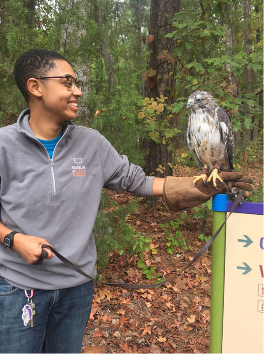 Hawk Handlers | Animal Keeper Blog